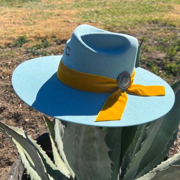 Charlie 1 Horse | Accessories | Charlie Horse Baby Blue Felt Hat | Poshmark